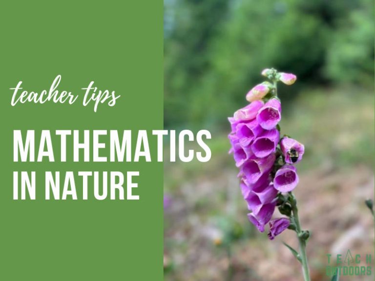 Tips for Teachers: Discovering Math in Nature - Teach Outdoors